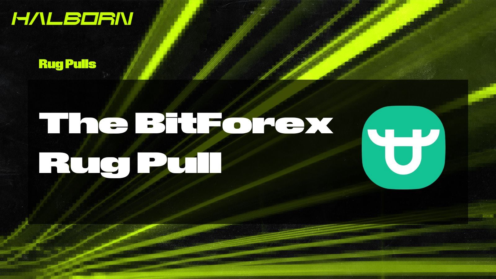 Explained: The BitForex Rug Pull (February 2024)